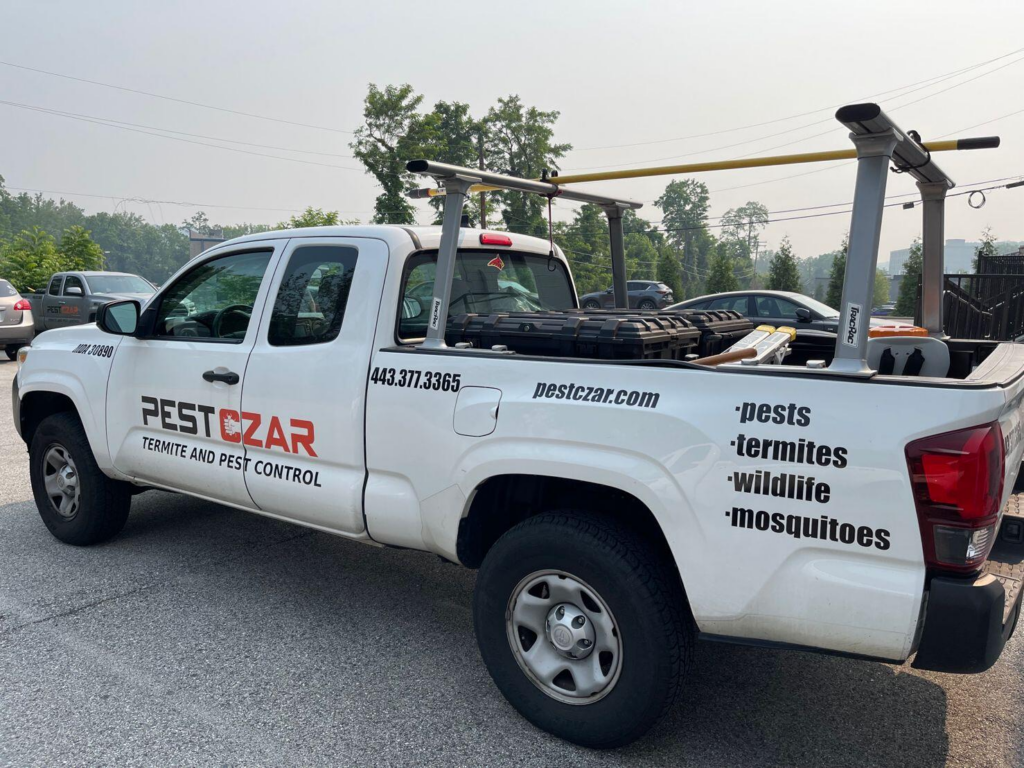 Why Hiring a Pest Control Company Is Worth It in Maryland | Pest Czar
